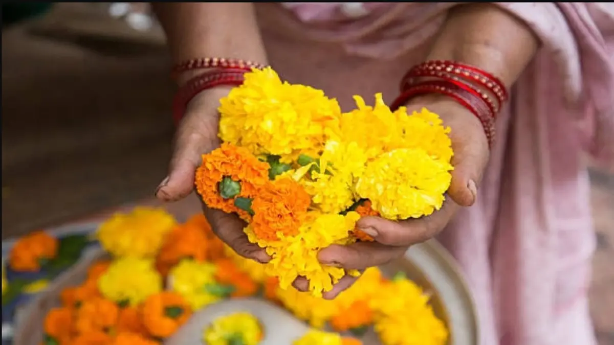 Guruwar ke Upay: વ્યવસાયમાં સફળતા ન મળતી હોય તો ગુરુવારે પીળા ફૂલોથી ...