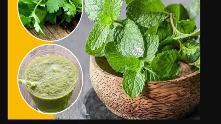 Mint-Coriander Leaves Benefits: ફુદીના અને ધાણાનું પાણી પીવાથી દૂર થાય ...