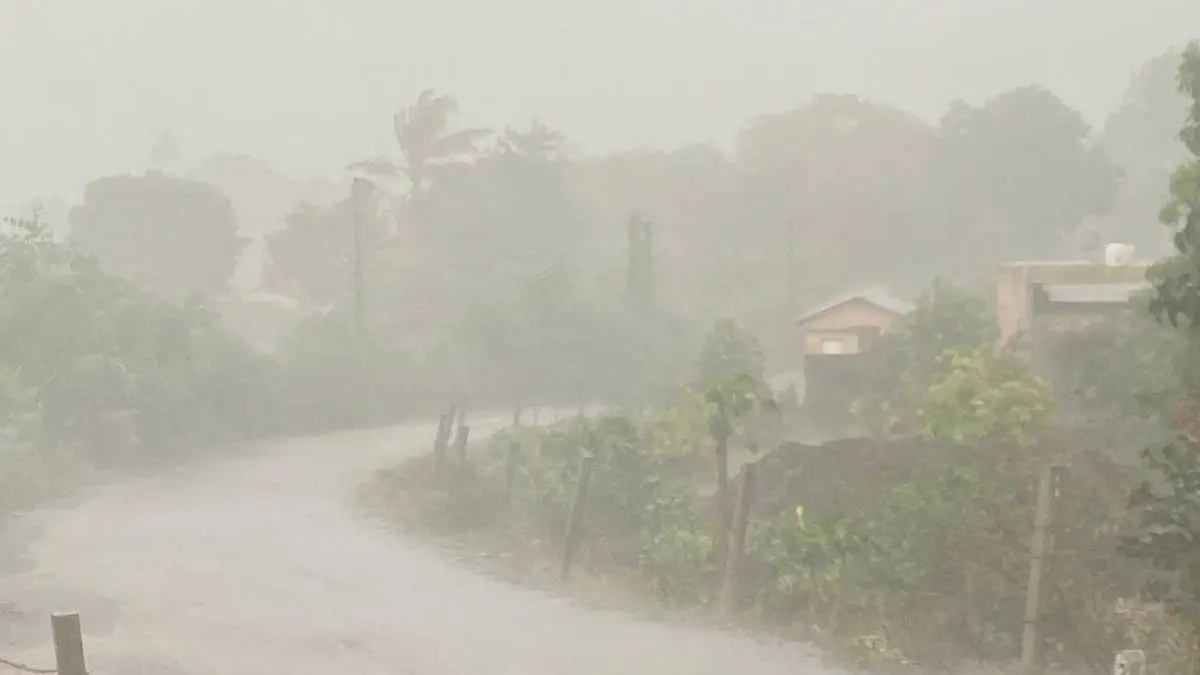 Navsari Rain: નવસારીમાં ભારે વરસાદ, સૌથી વધારે વાસંદામાં પડ્યો Rain in ...