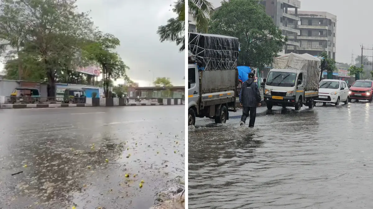 Gujarat Rains: છેલ્લા 24 કલાકમાં સુરતના 7 તાલુકામાં માવઠું, જાણો ક્યાં કેટલા ઈંચ વરસાદ થયો ...