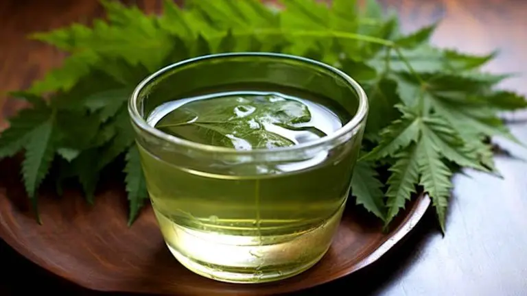 Neem Water Bath: લીમડાના પાણીથી સ્નાન કરવાથી થઈ શકે છે ઘણા ફાયદા ...