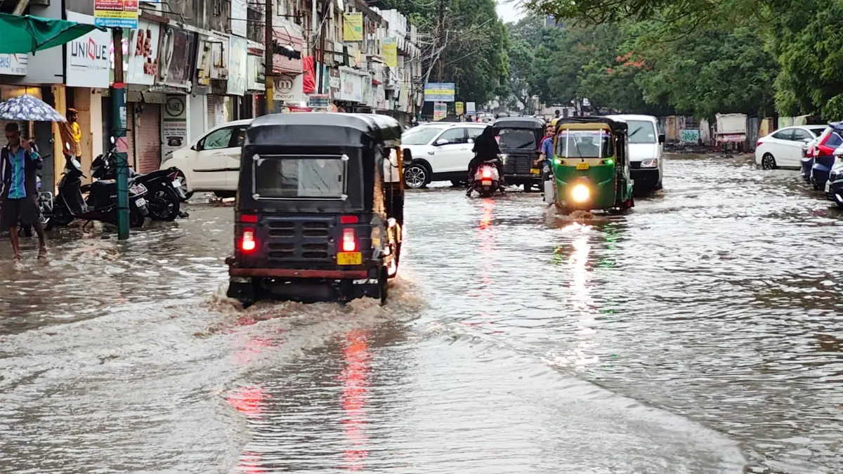Bharuch Rain: આજે વહેલી સવારથી ભરુચના 8 તાલુકામાં વરસાદ, જાણો ક્યાં ...