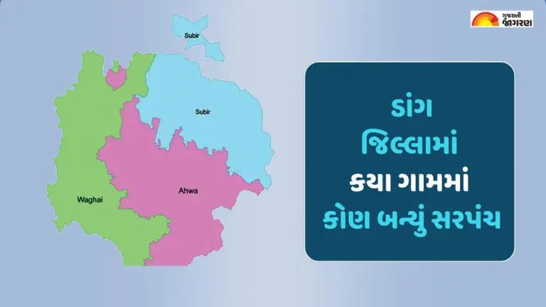 Dang Gram Panchayat Election Result: ડાંગ જિલ્લાની ગ્રામ પંચાયતોનું ...