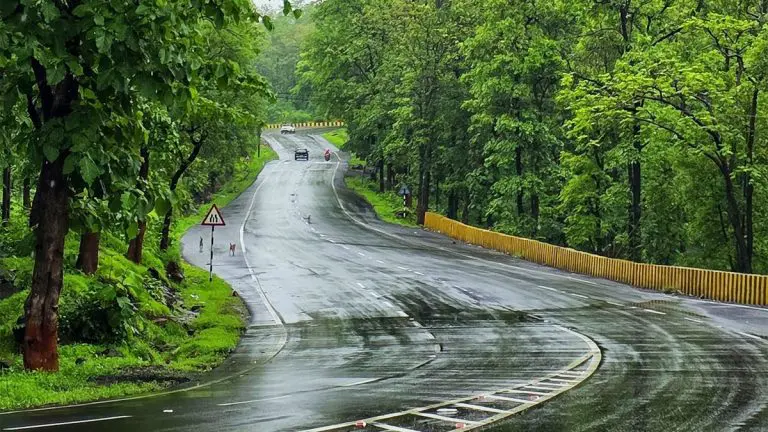 Dang Rain: સવારે 6થી 8 વાગ્યા સુધી ડાંગ જિલ્લામાં વરસાદ, જાણો 3 ...