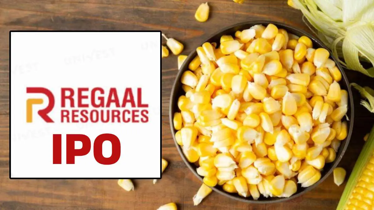 Regaal Resources IPO: આજે રેગલ રિસોર્સિસ IPOનું એલોટમેન્ટ, જાણો લેટેસ્ટ GMP અને શેર માર્કેટમાં ...