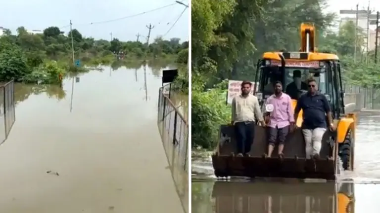 Vadodara Rain: વિશ્વામિત્રી નદીમાં ઉછાળો, કોટેશ્વર વિસ્તારમાં પૂર જેવી ...