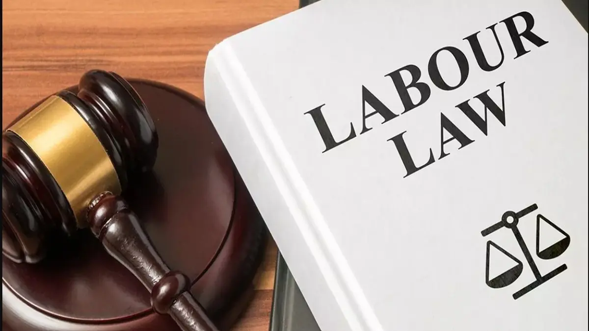 New Labour Policy: નવી શ્રમ નીતિ લાવવાની તૈયારી કરી રહી છે મોદી સરકાર ...