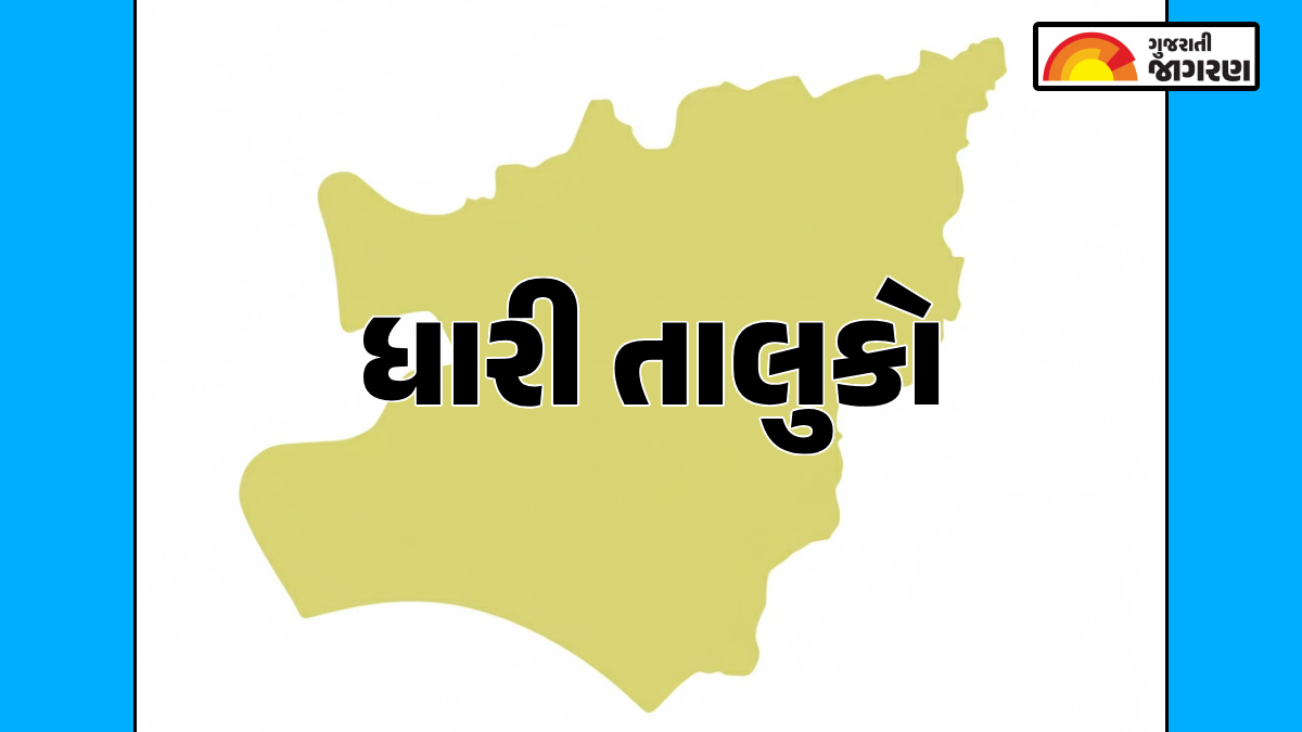 Dhari (ધારી) | Latest News Headlines, Top Photos, Videos in Gujarati ...