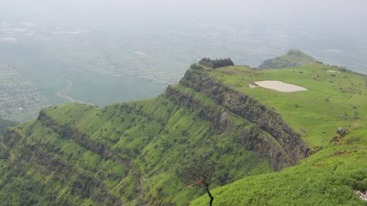 Halol News(હાલોલ ન્યૂઝ) | Latest News Headlines, Top Photos, Videos in ...