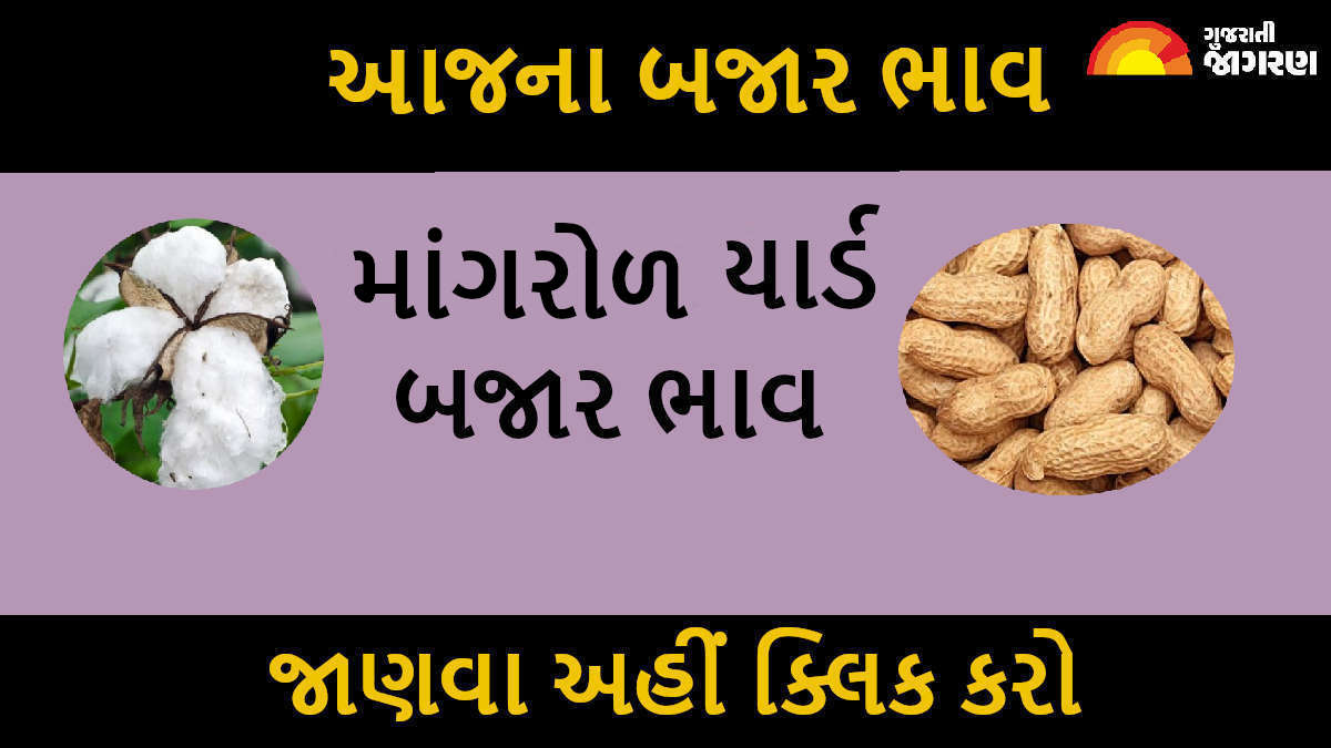 Mangrol APMC (માંગરોળ એપીએમસી) | Latest News Headlines, Top Photos ...