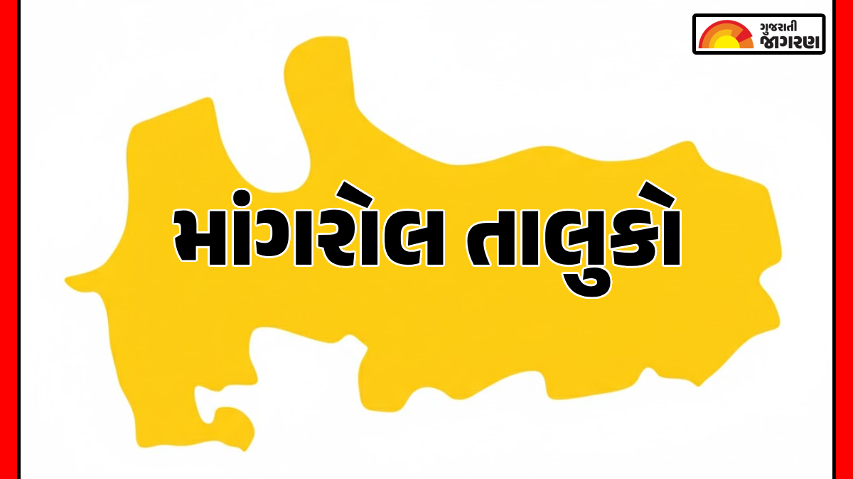 Mangrol (માંગરોલ) | Latest News Headlines, Top Photos, Videos in ...