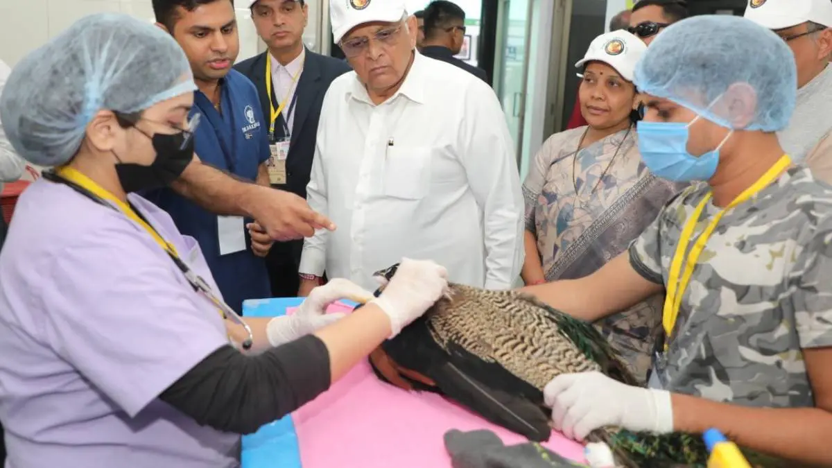 Karuna Abhiyan: સુરતમાં 20 જાન્યુઆરી સુધી કરુણા અભિયાન, પતંગની દોરીથી ...