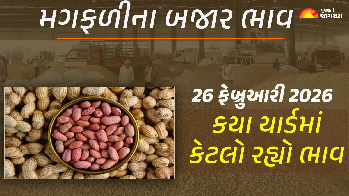 મગફળી ના બજાર ભાવ આજના ગુજરાત 26 February 2026 | મગફળી ના બજાર ભાવ ...