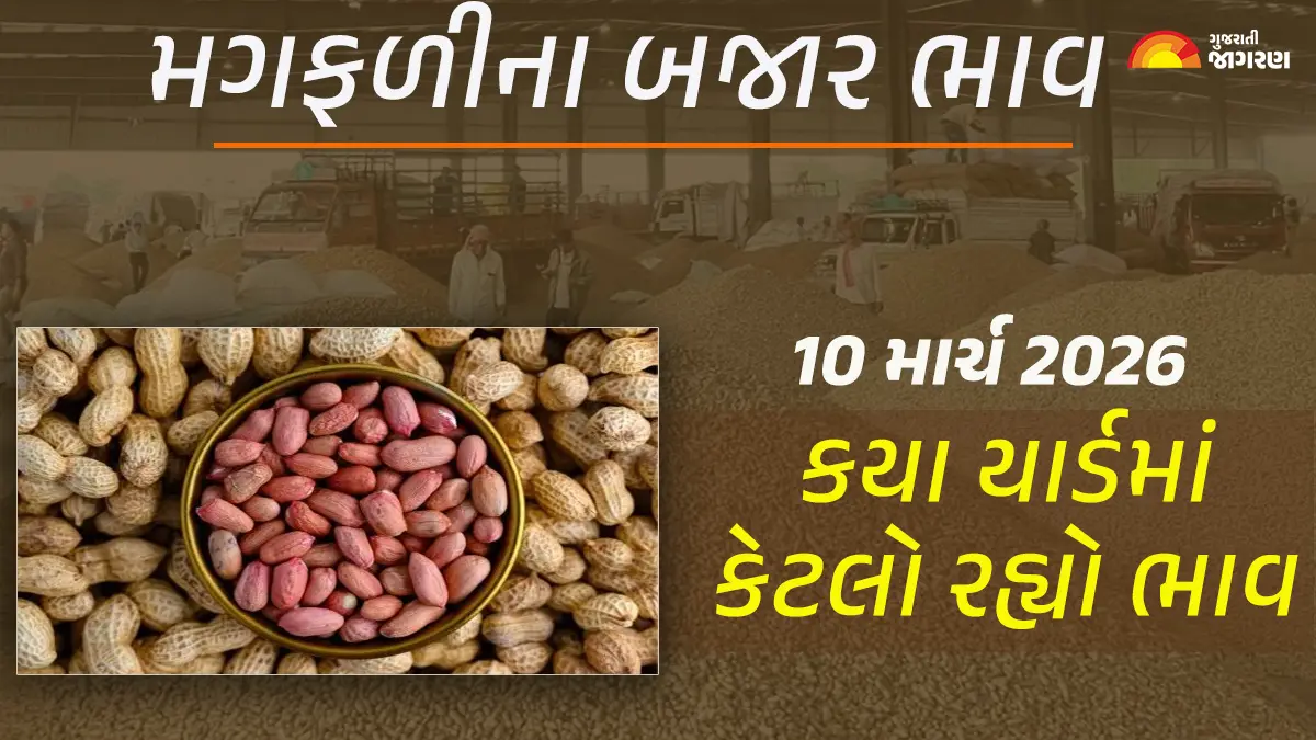 મગફળી ના બજાર ભાવ આજના ગુજરાત 10 March 2026 | મગફળી ના બજાર ભાવ ...