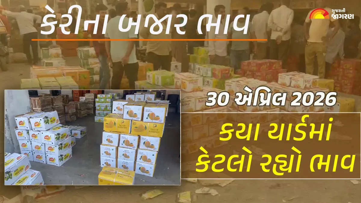 કેસર કેરી ના બજાર ભાવ આજના ગુજરાત 30 April 2026 | કેસર કેરી ના બજાર ભાવ ...