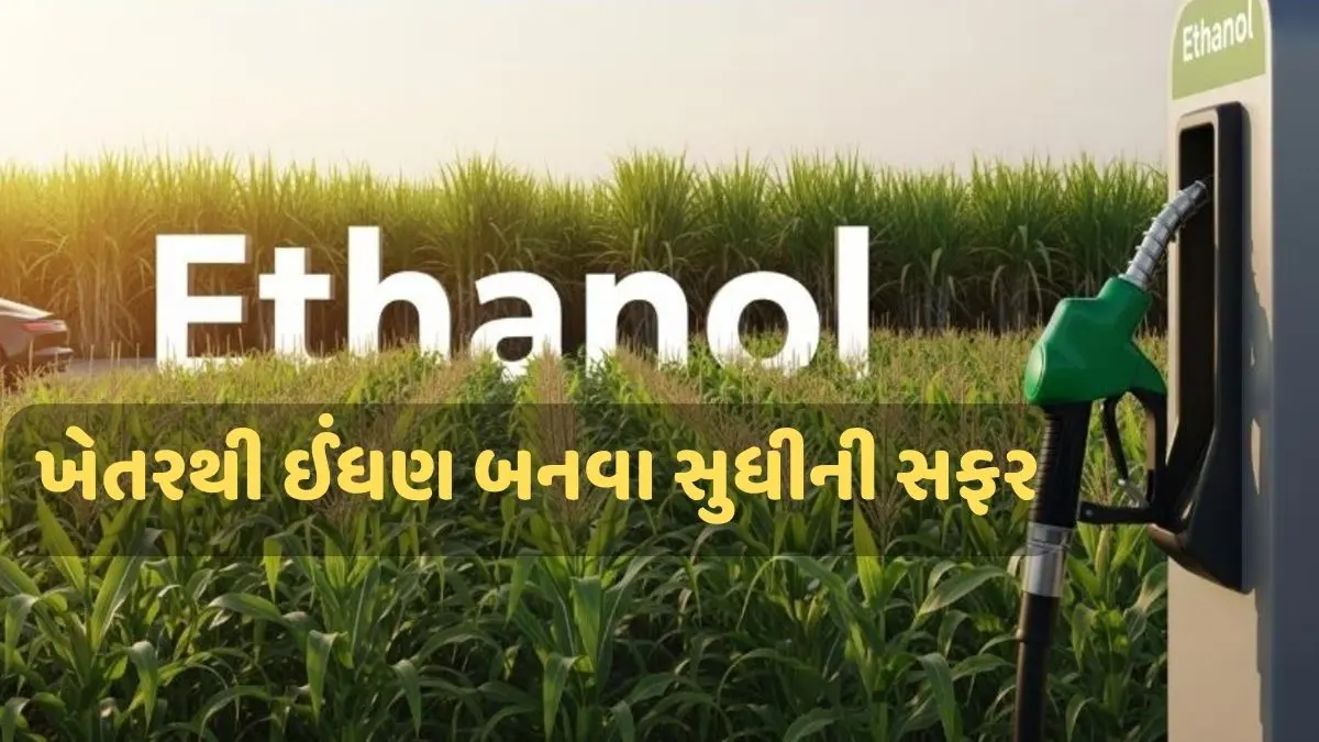 Ethanol A To Z Process: ઈથેનોલ કેવી રીતે બને છે અને તેમાં કેવા પડકારો ...