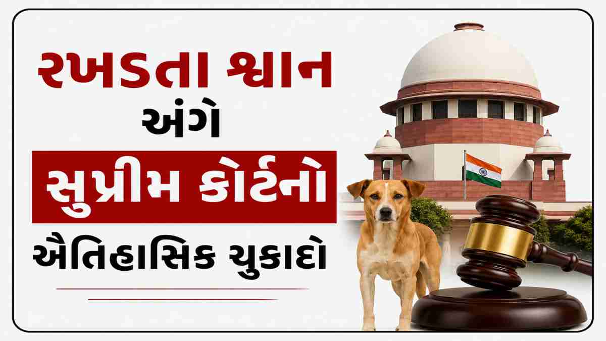 રખડતા શ્વાન અંગે સુપ્રીમ કોર્ટનો ઐતિહાસિક ચુકાદો: જાહેર સ્થળોએથી શ્વાન ...