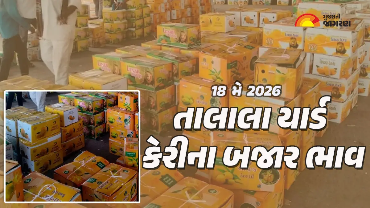 તાલાલામાં કેરીના લેટેસ્ટ ભાવ (19 મે 2026) | Mango Prices Today in ...
