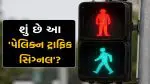 જાણો શું છે પેલિકન ટ્રાફિક સિગ્નલ? રાહદારીઓ હવે માત્ર એક બટન દબાવીને ...