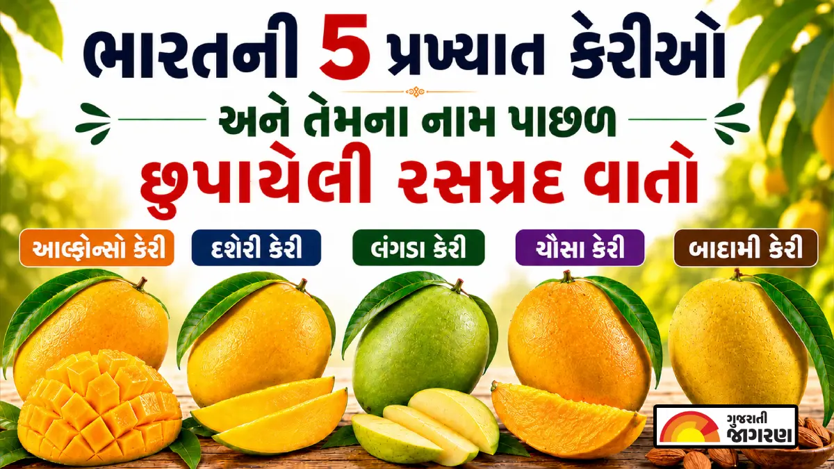 Indian Mangoes Names Explained: લંગડા, દશેરી અને ચૌસા... કેરીઓના આવા ...
