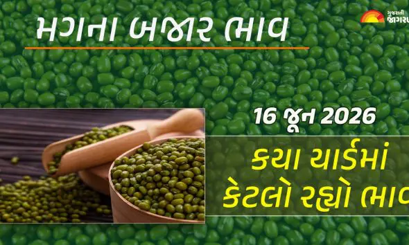 Green Gram Prices in Gujarat (16 June 2026): મગના આજના બજાર ભાવ (16 જૂન ...