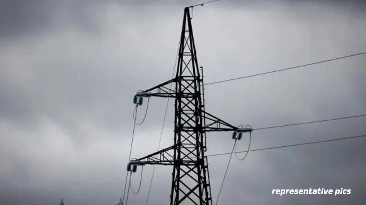 Vadodara: નવલખી ગ્રાઉન્ડમાં જીગરદાન ગઢવીના ગરબા હવે નહીં થાય, વરસાદના ...
