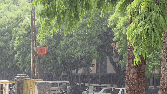 વરસાદ (Rain) | Latest News Headlines, Top Photos, Videos in Gujarati ...